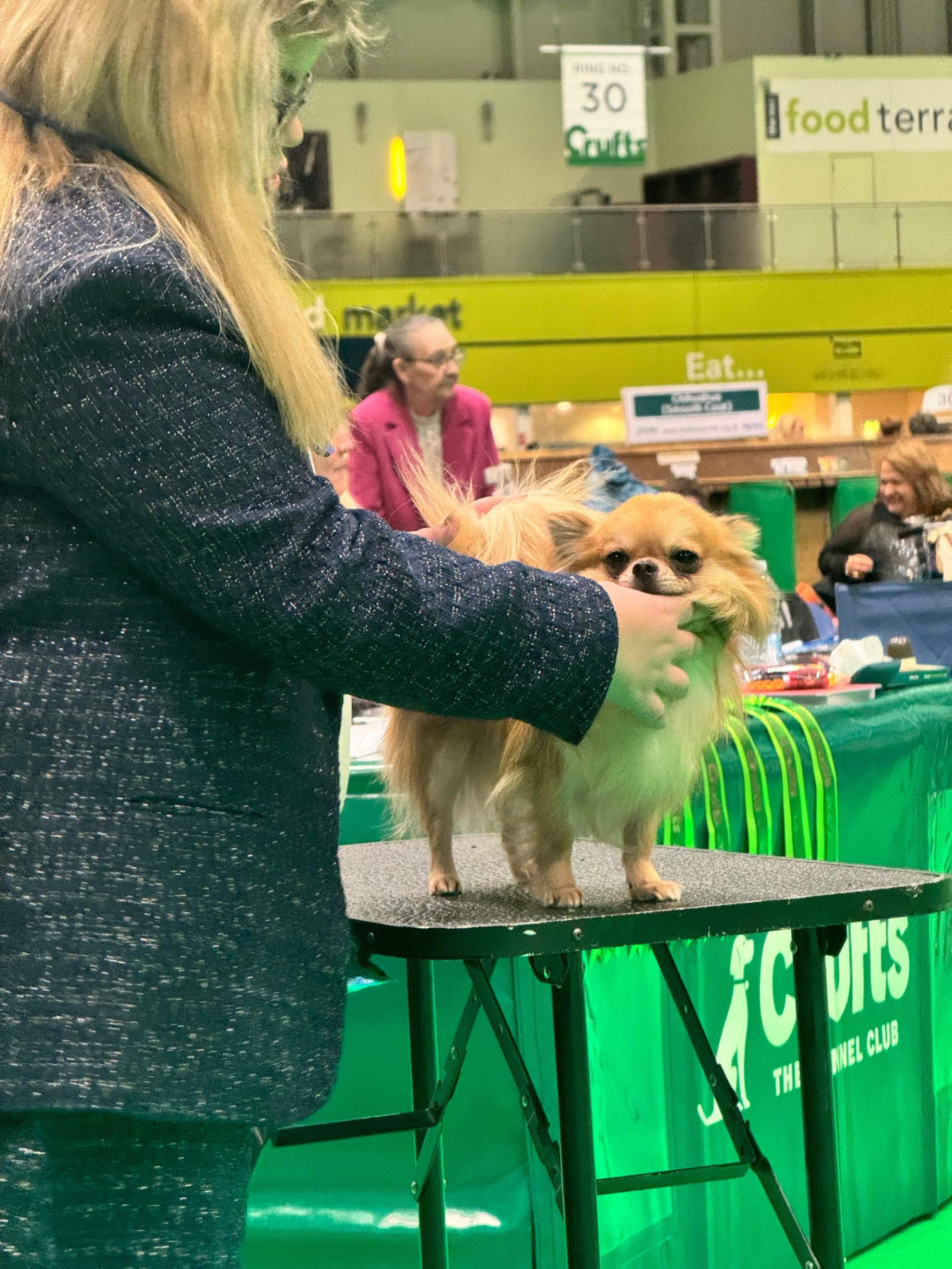 New Skills Bootcamps course launches - Lakes College